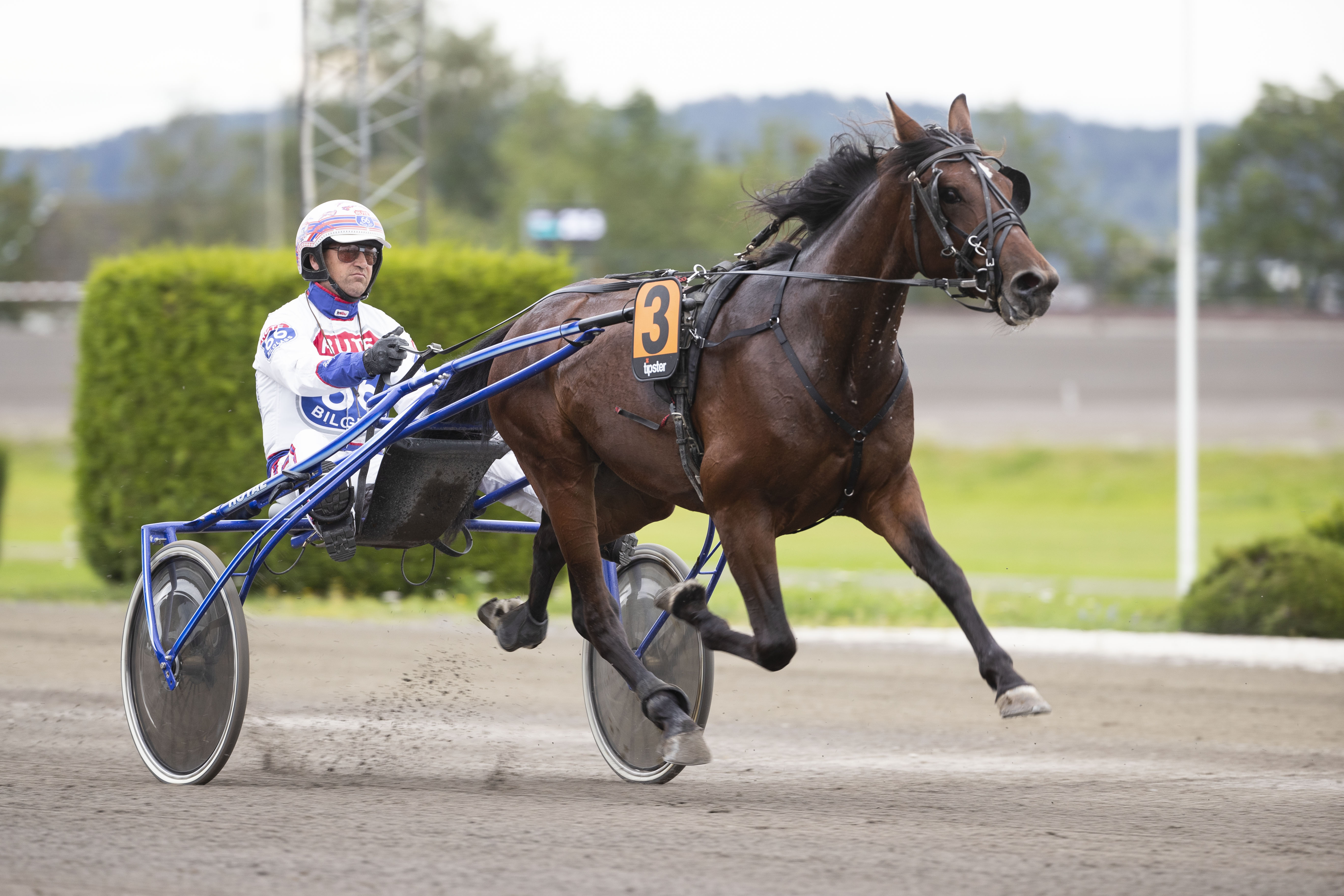 Norsk Rikstoto