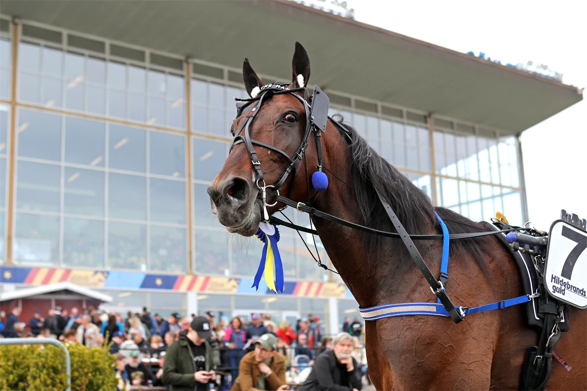 Norsk Rikstoto