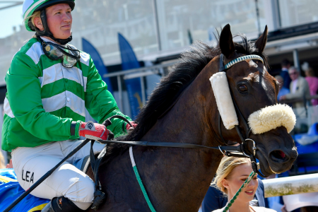 Norsk Rikstoto