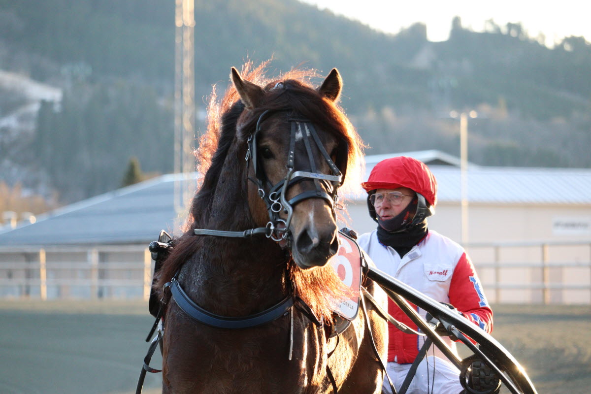 Norsk Rikstoto